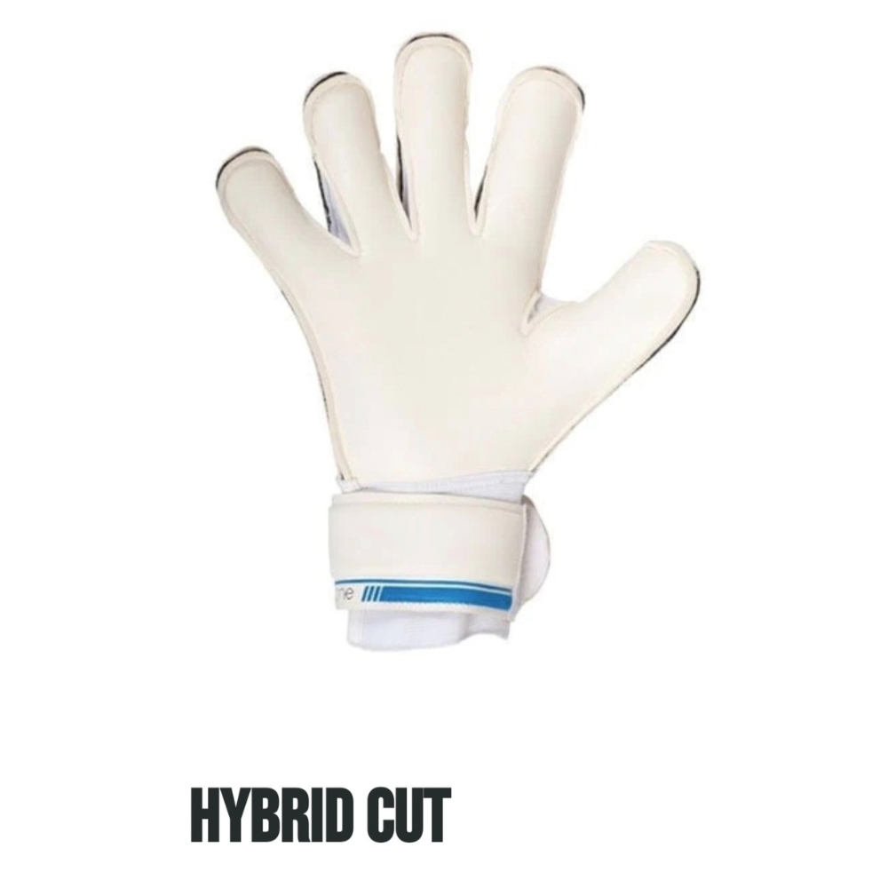 Hybrid Cut - Shirbro Sports